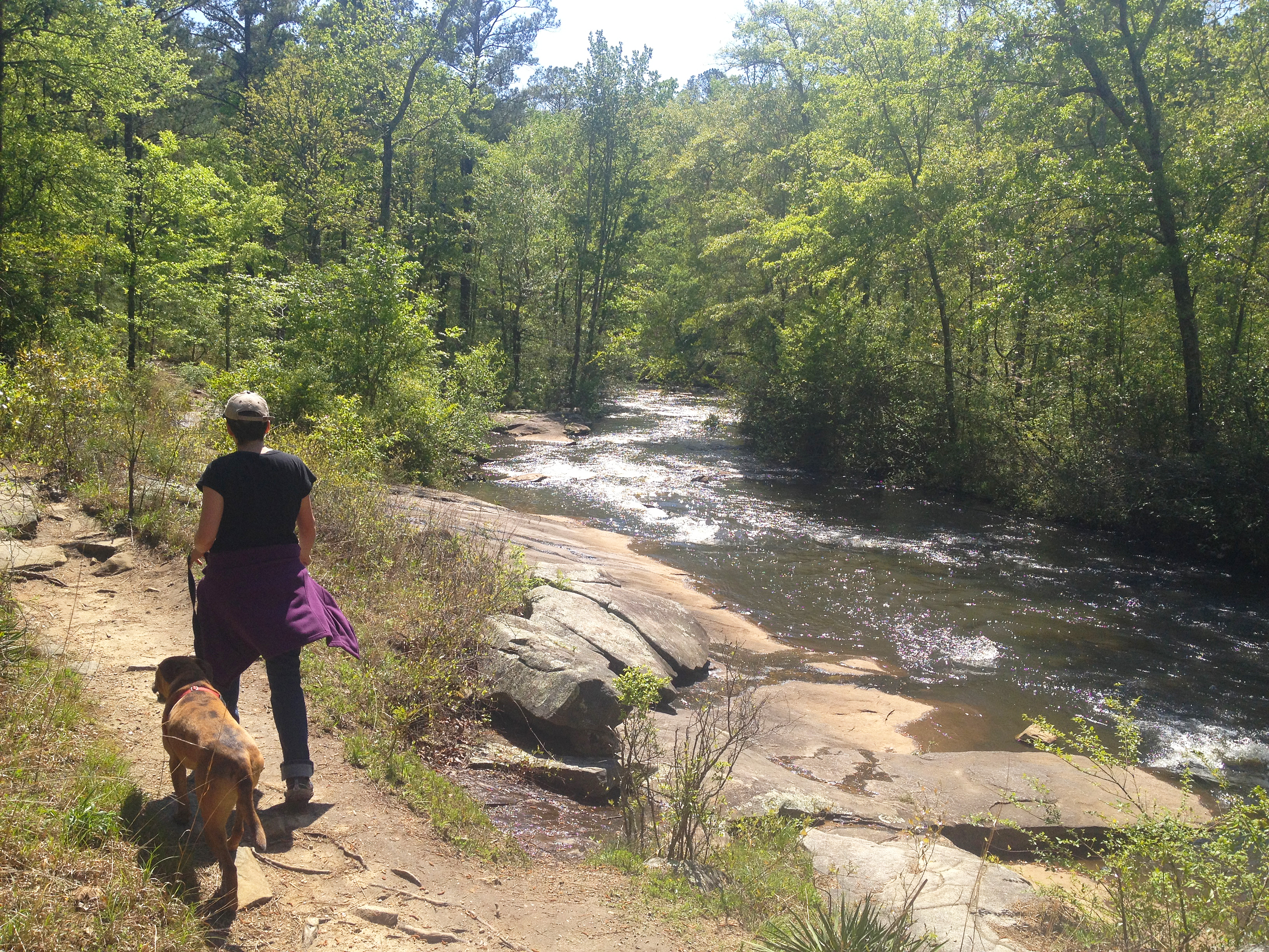 Atlanta Trails & Greenspaces – Hiking Atlanta's Hidden Forests