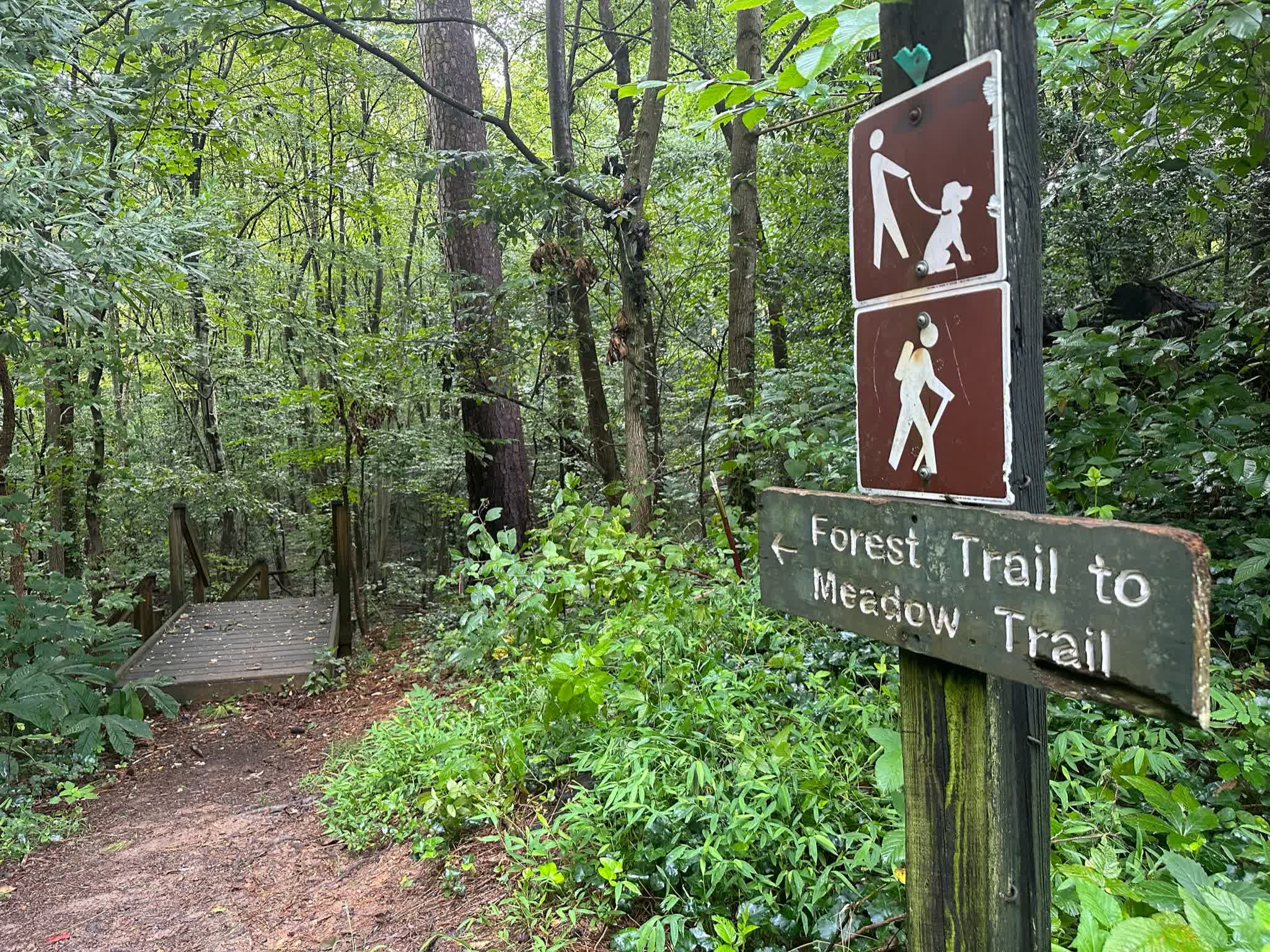 Praise – Hiking Atlanta's Hidden Forests